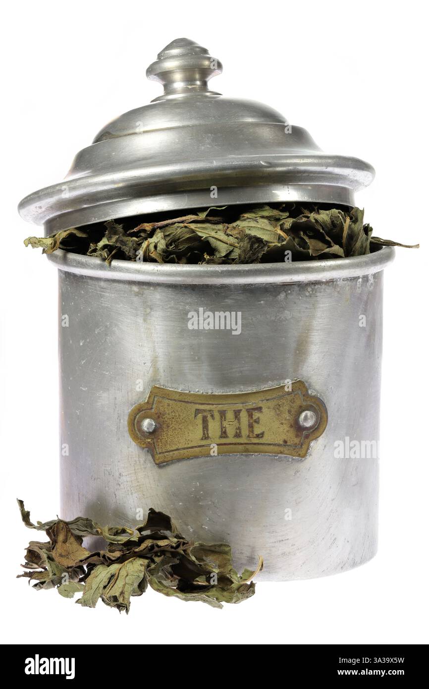 peppermint tea leaves in a vintage French aluminum lidded tin isolated ...