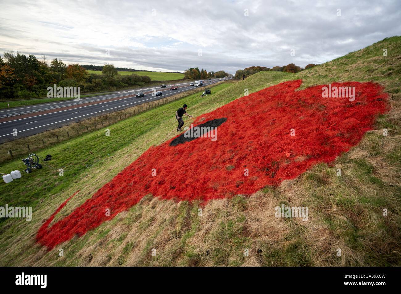 Giant poppies are painted onto the grass pyramids alongside the M8 ...