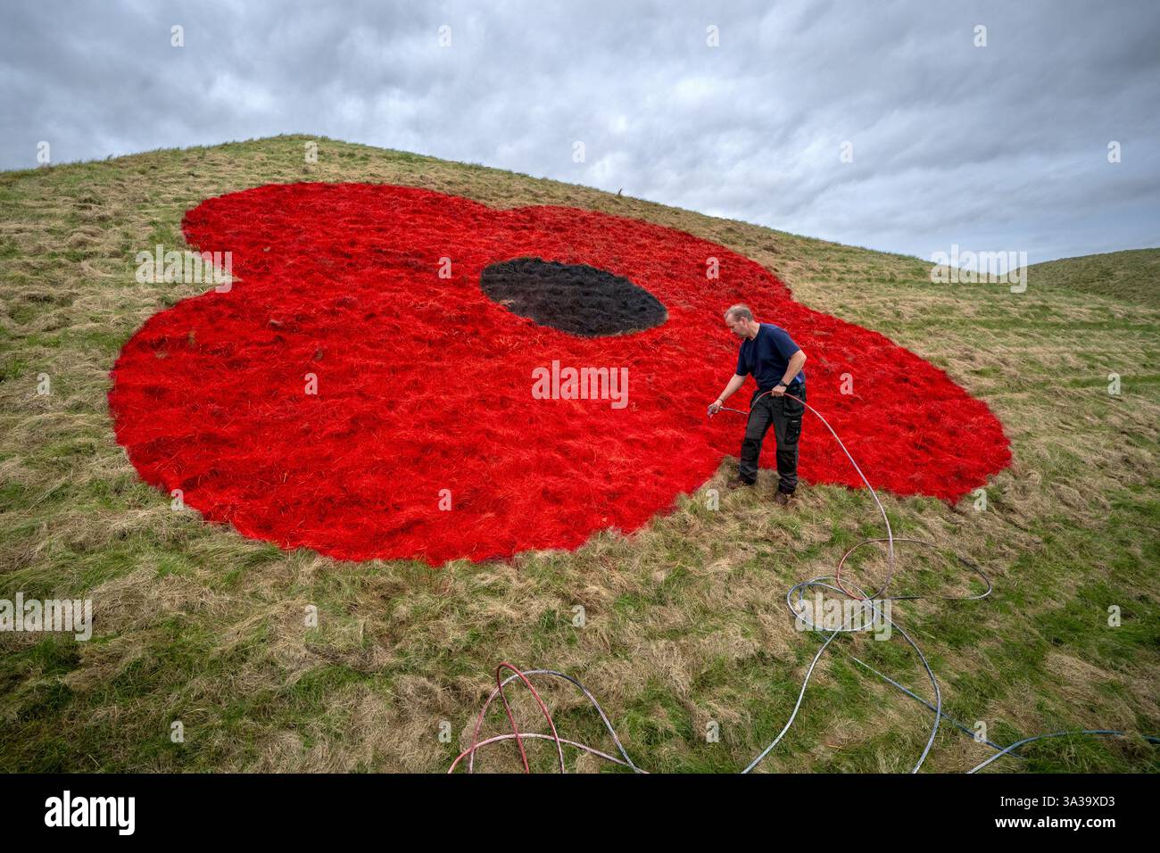 Giant poppies are painted onto the grass pyramids alongside the M8 ...