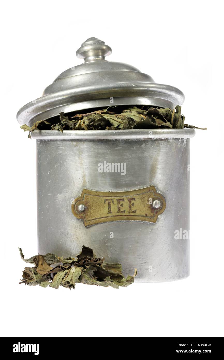 peppermint tea leaves in a vintage German aluminum lidded tin isolated ...
