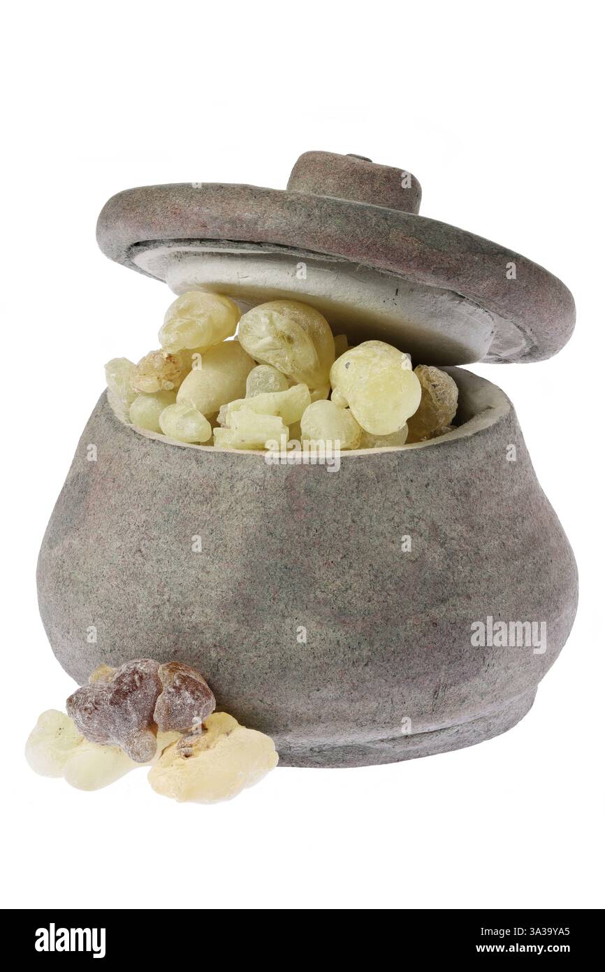 Al-Hojari Boswellia sacra frankincense resin from Oman in a stoneware ...