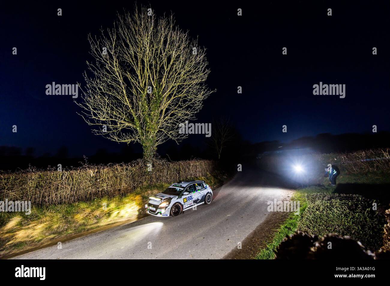 56 CASALE Julien, DELORME Pierre, Peugeot 208 Rally4, action during the ...