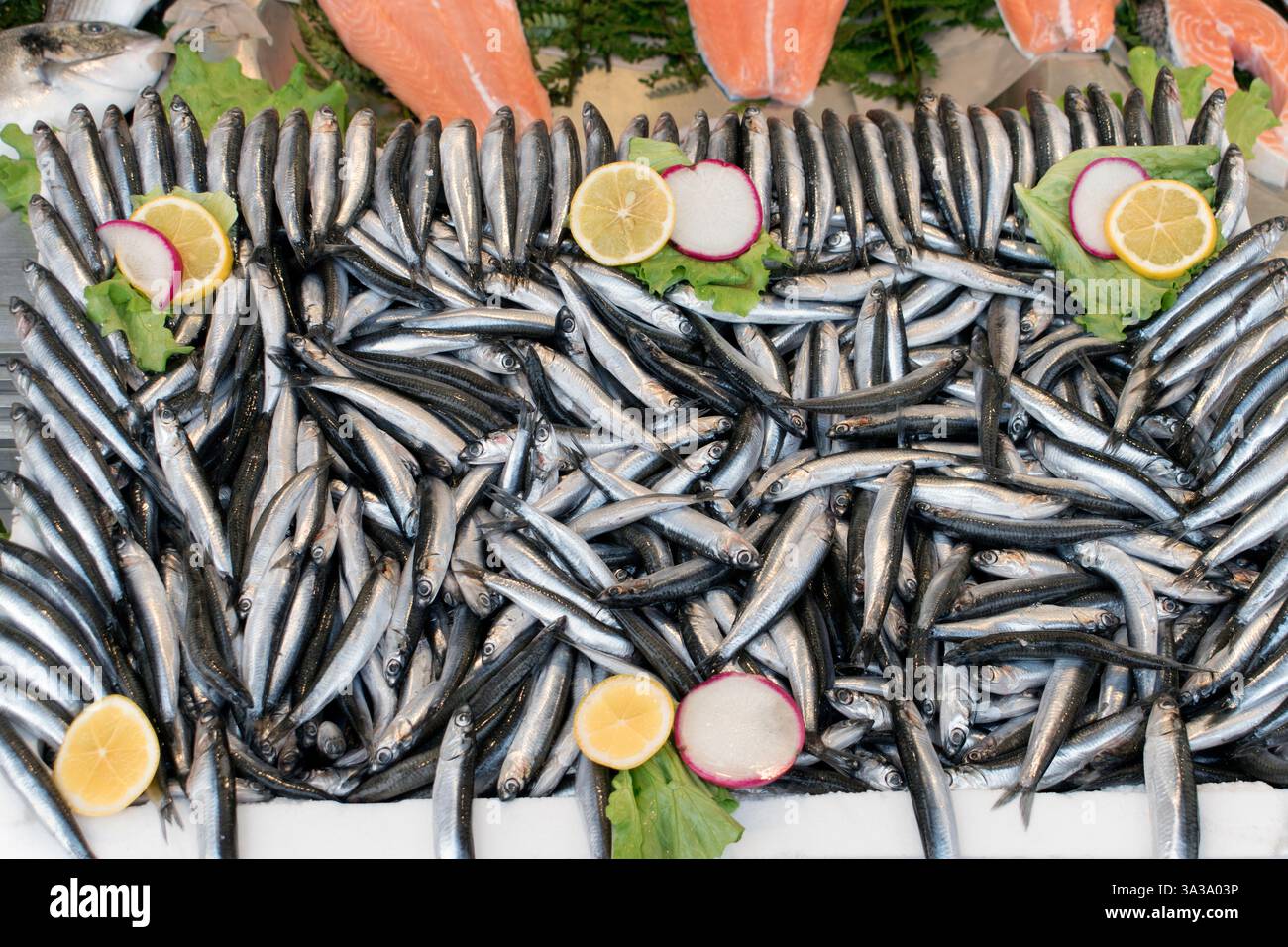 Fresh fish (anchovies) at the market - hamsi Stock Photo - Alamy