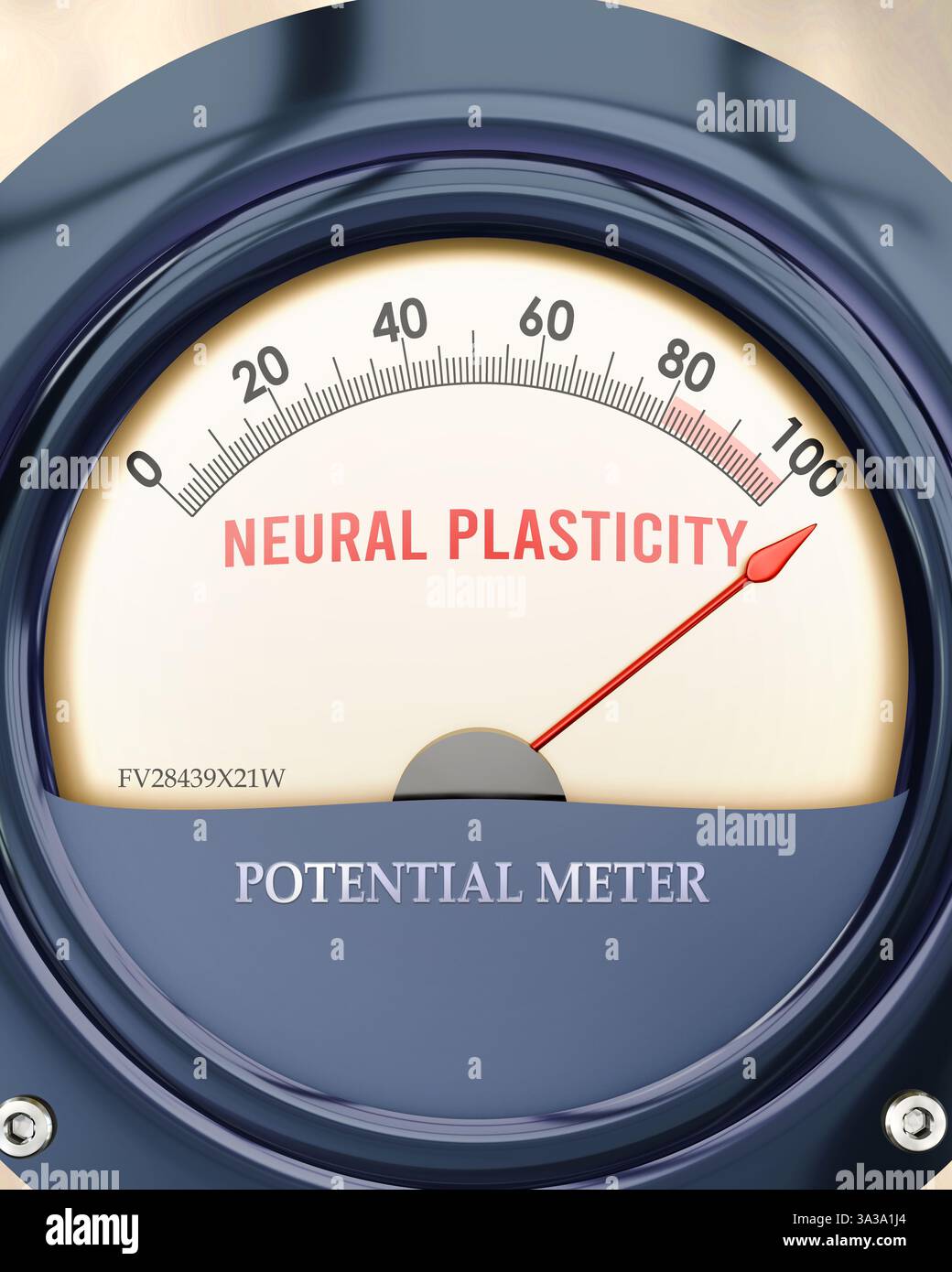 Neural Plasticity and Potential Meter that is hitting a full scale ...
