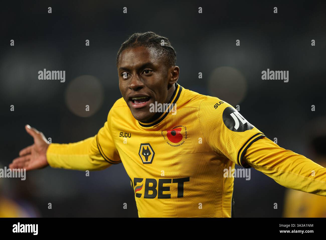Wolverhampton Wanderers' Jean-Ricner Bellegarde during the Premier ...