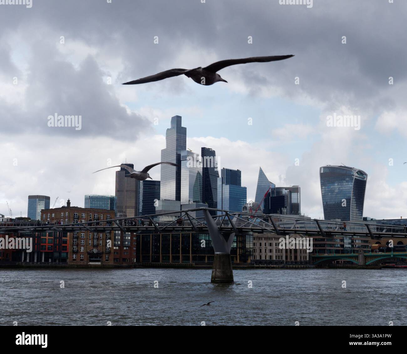 Dramatic grey sky over sky scrapers and Millennium Bridge as a Seagull flies past. London, March ...