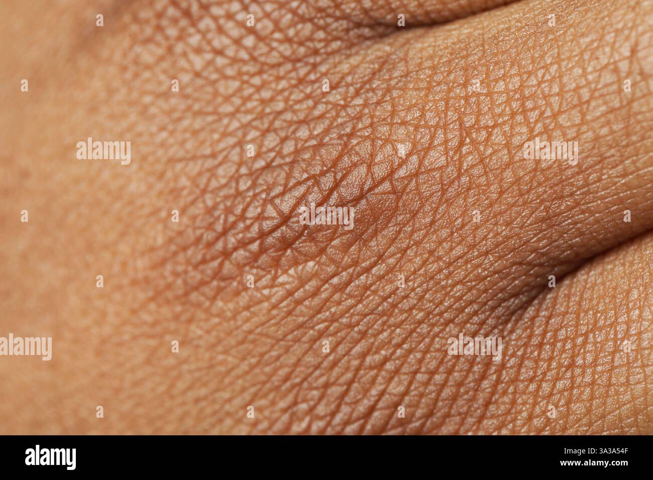 Macro view of normal skin as background Stock Photo - Alamy