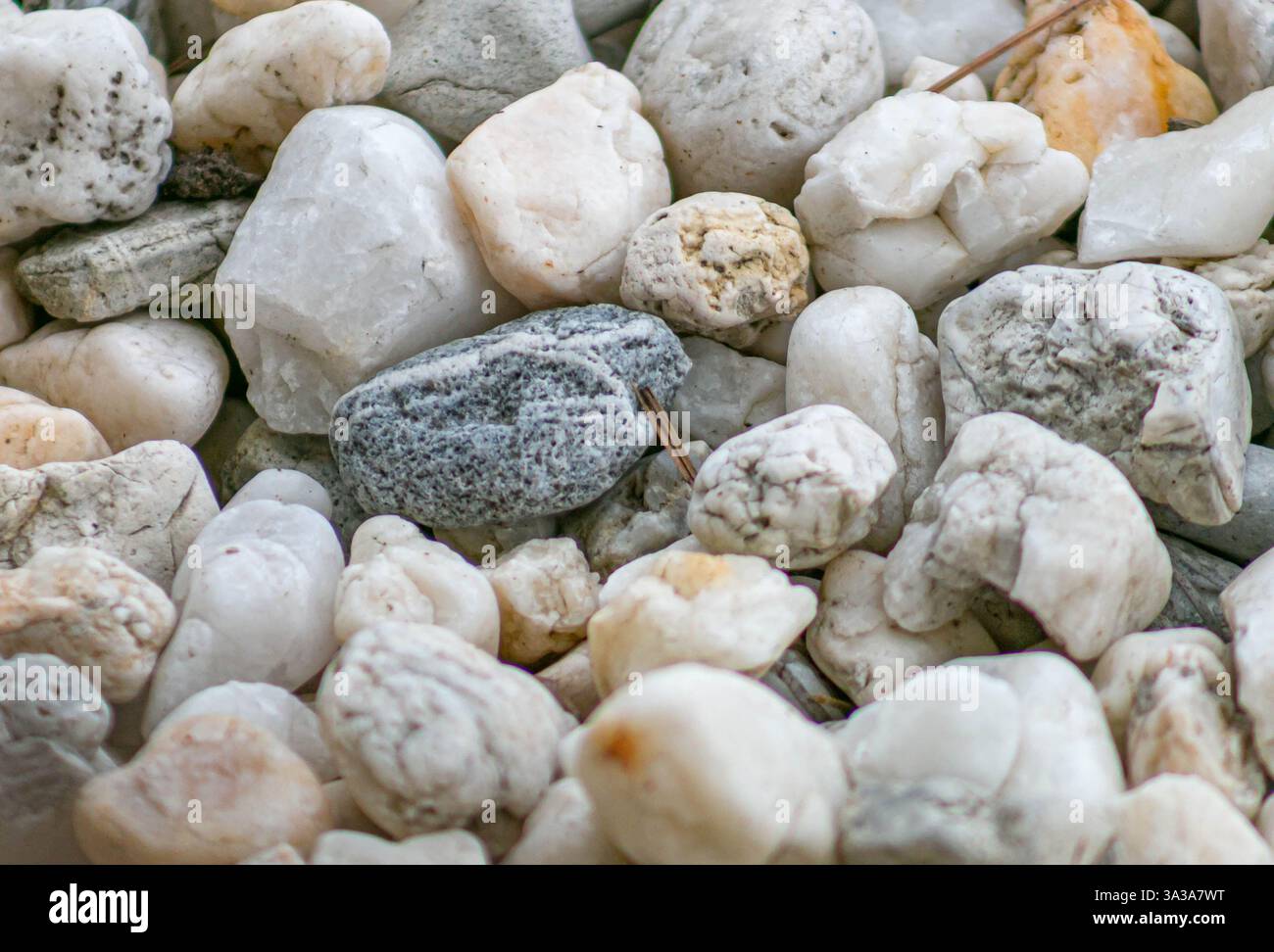 Lake round oval hi-res stock photography and images - Alamy