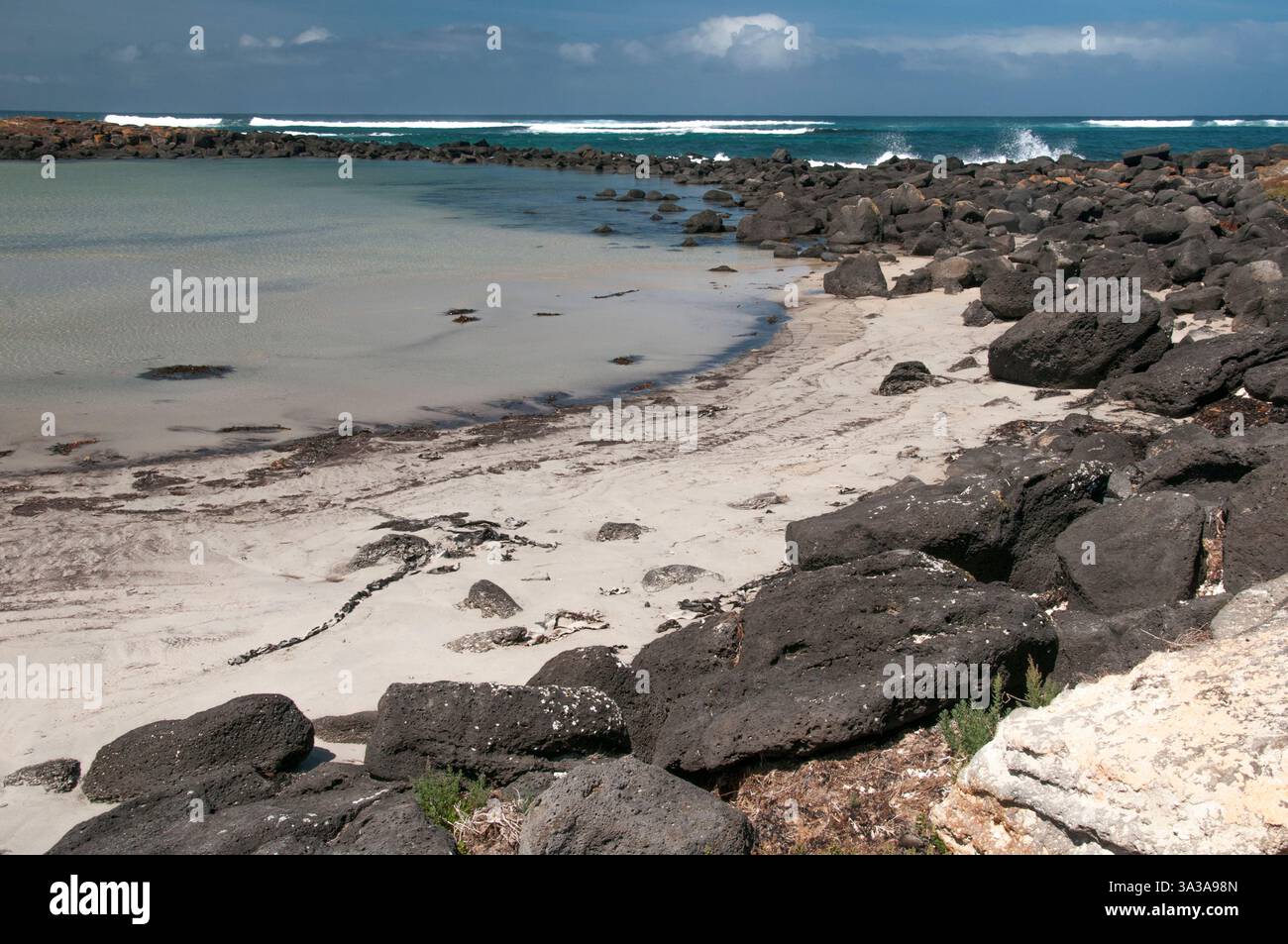 Coastal scenery o Griffiths Island, Port Fairy, Victoria, Australia ...