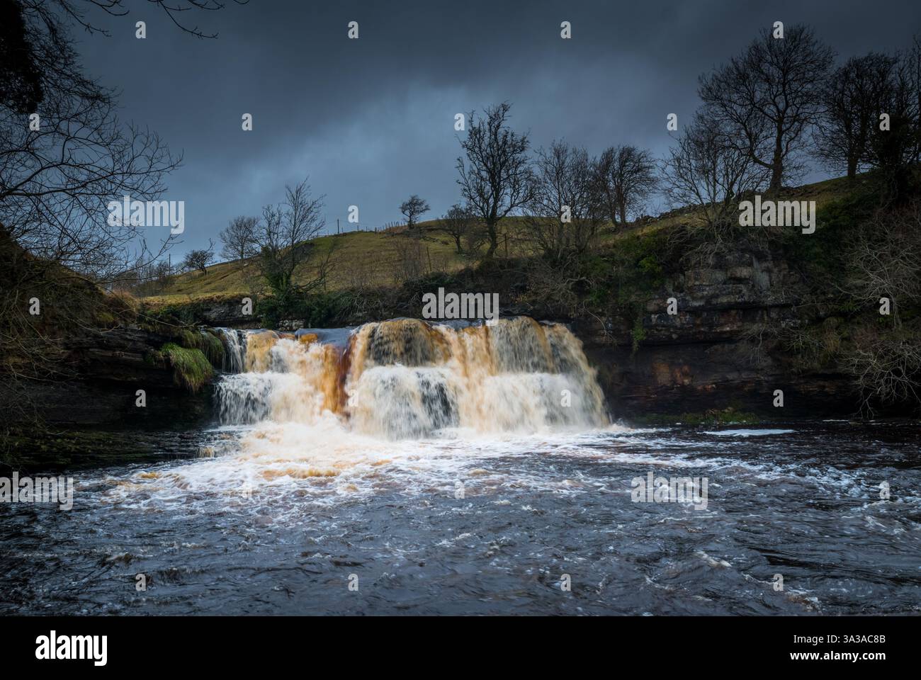 Rainby Force on the River Swale in Yorkshire, England, cascades amidst ...