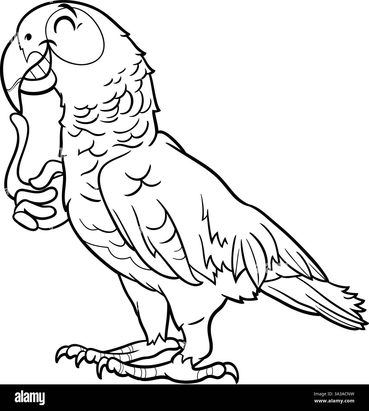 Cartoon illustration of happy grey parrot bird comic animal character ...
