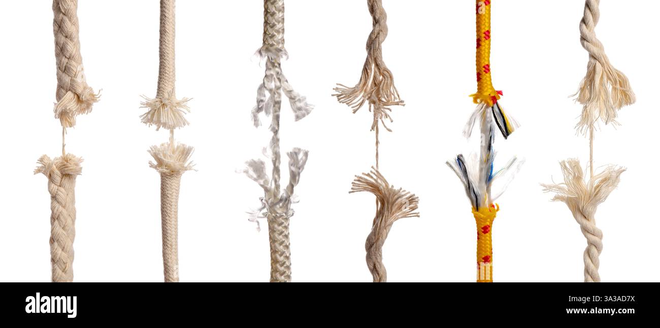 Set of frayed ropes on white background. Concept of connection Stock ...