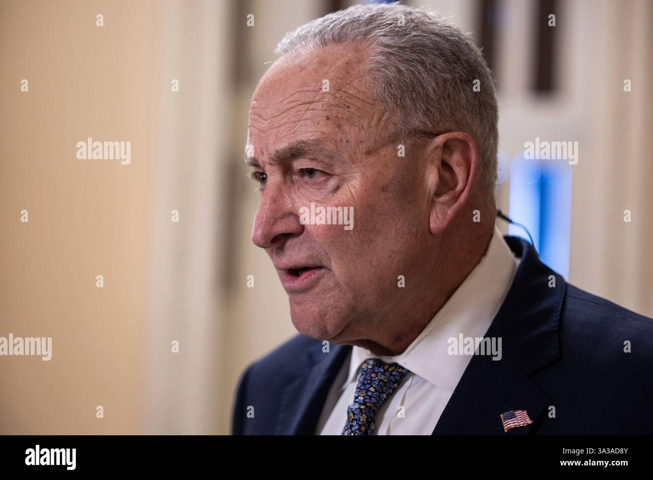 Senate Minority Leader Chuck Schumer (D-N.Y.) prepares to give an ...