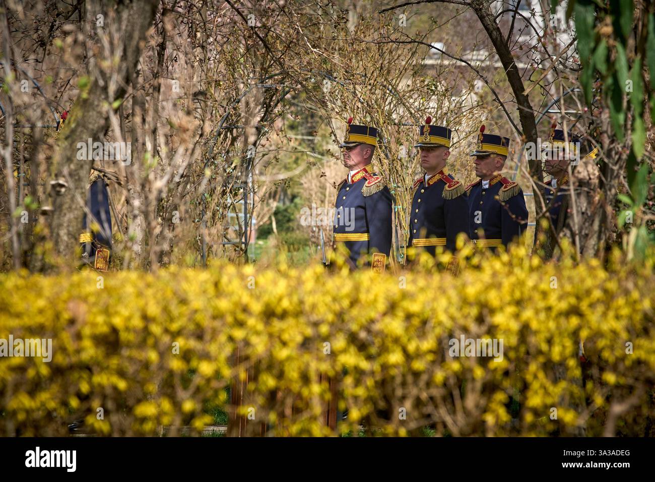 Mihai viteazu guard regiment hi-res stock photography and images - Alamy