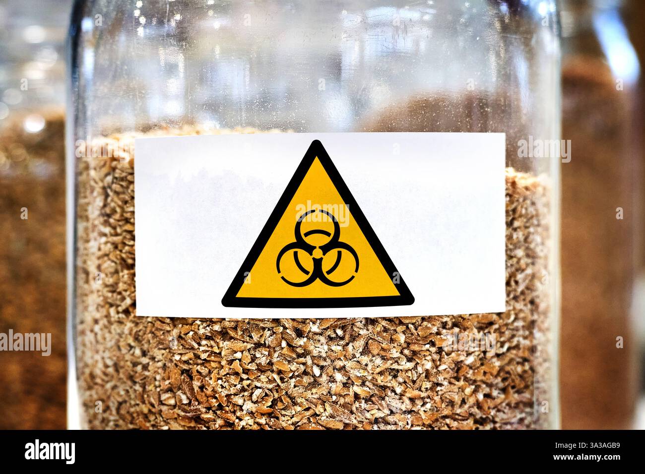 14 March 2025: PHOTOMONTAGE, A jar of grain and biohazard warning signs ...