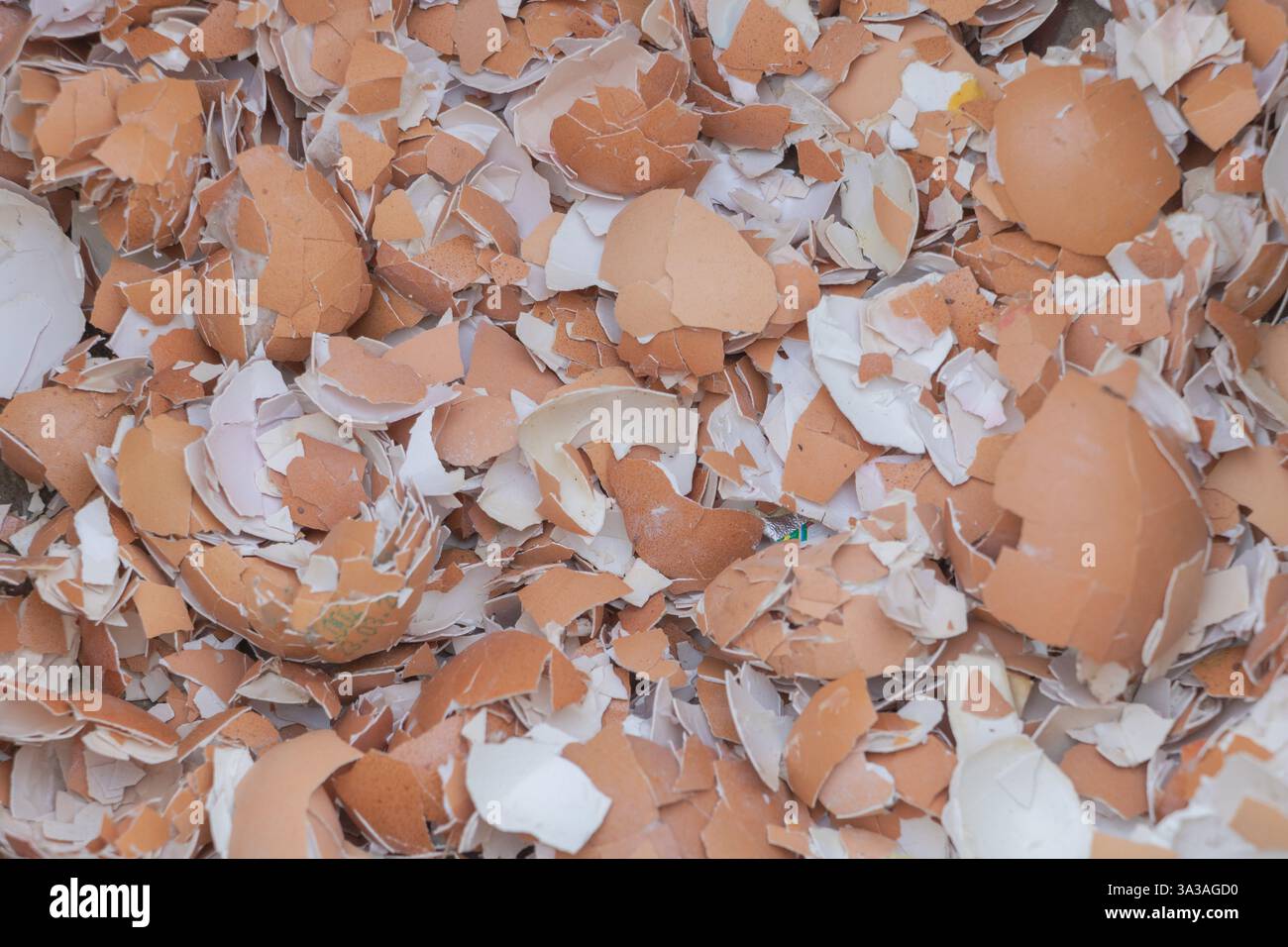 A pile of eggshells and used kitchen waste, a sustainable, eco-friendly ...