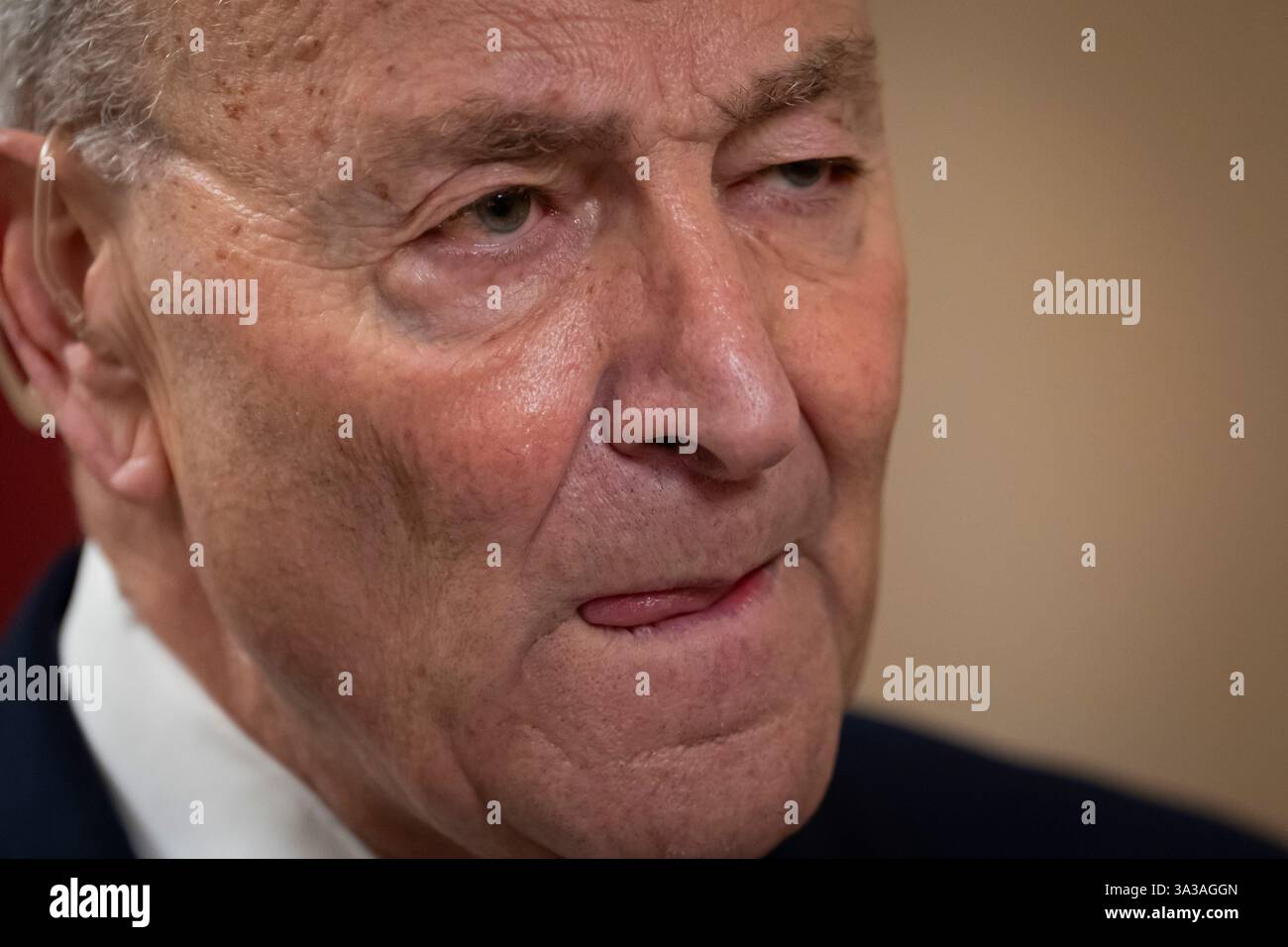 Senate Democratic Leader Chuck Schumer gives a television interview at ...