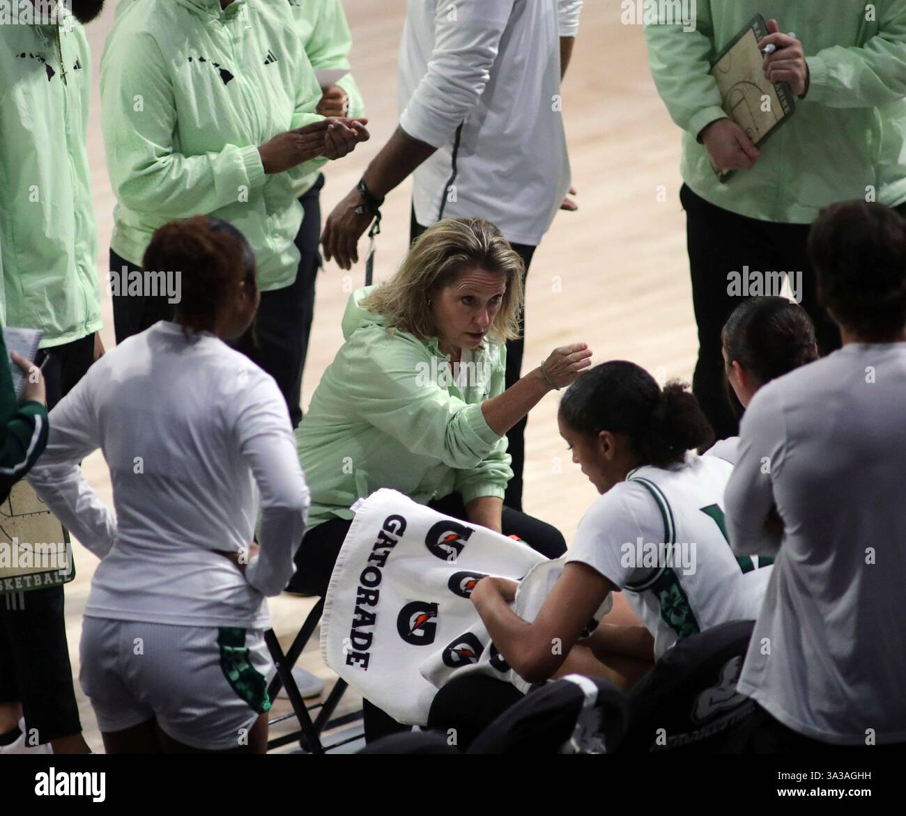 March 14, 2025 - Hawai'i Rainbow Wahine head coach Laura Beeman talks ...