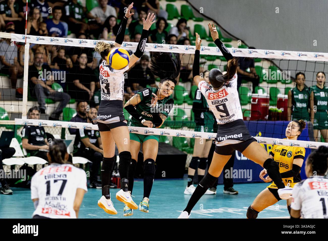 BRASÍLIA, DF - 14.03.2025: SUPERLIGA DE VÔLEI BSB VÔLEI X SESI BAURU ...