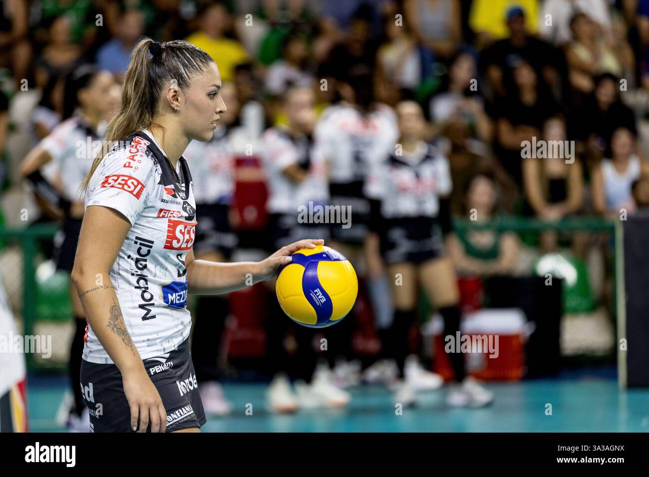 BRASÍLIA, DF - 14.03.2025: SUPERLIGA DE VÔLEI BSB VÔLEI X SESI BAURU ...