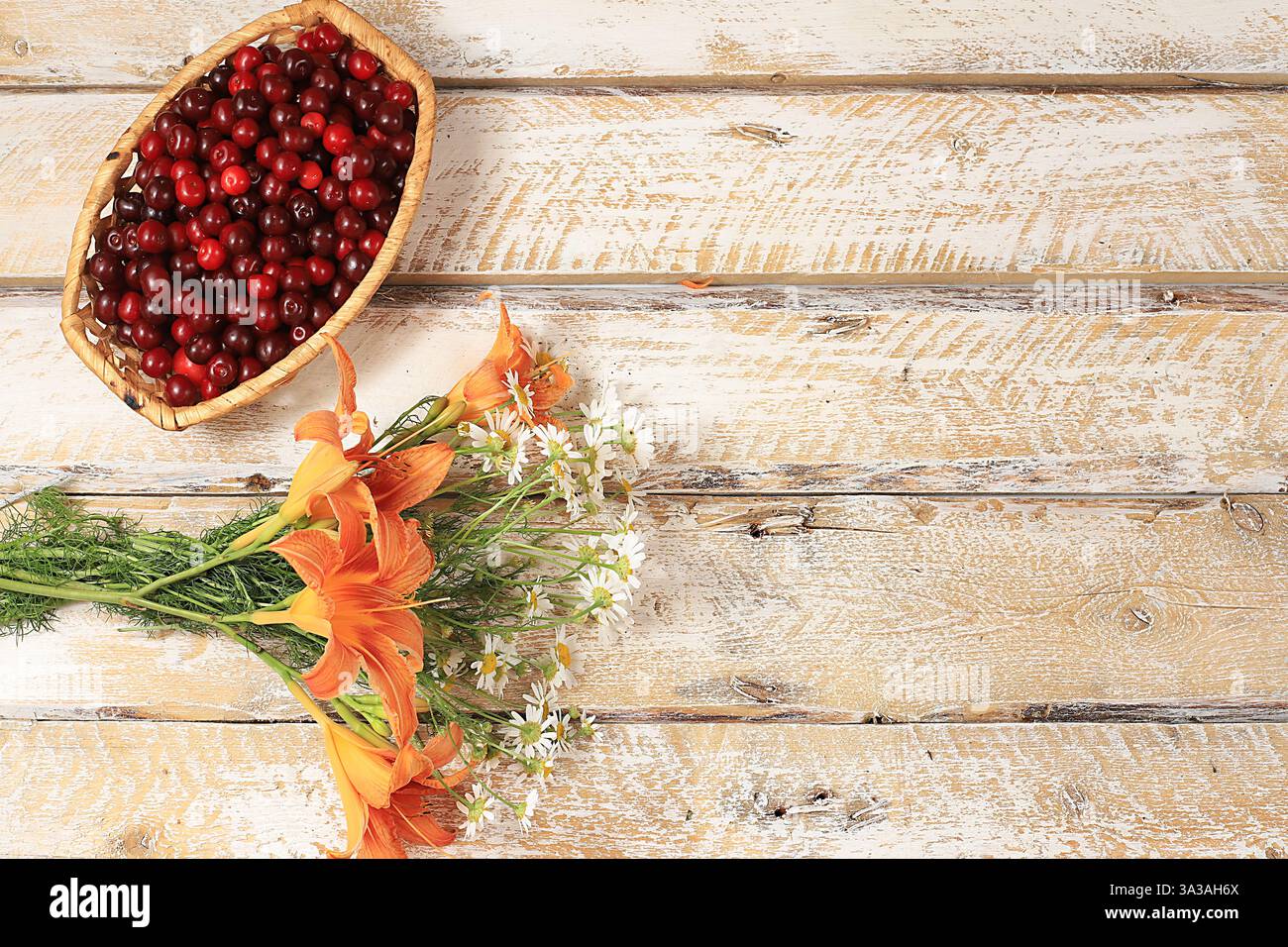 Harvesting in august, cherries on wooden background, rustic style ...