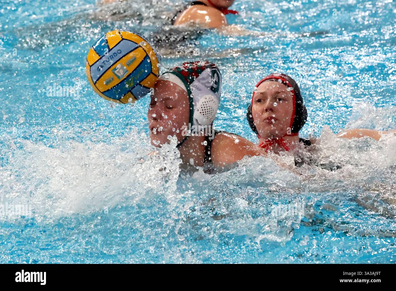 14.03.2025, Schwimmhalle-Schoeneberg, Berlin, DEU, DWV, Pokal Frauen ...