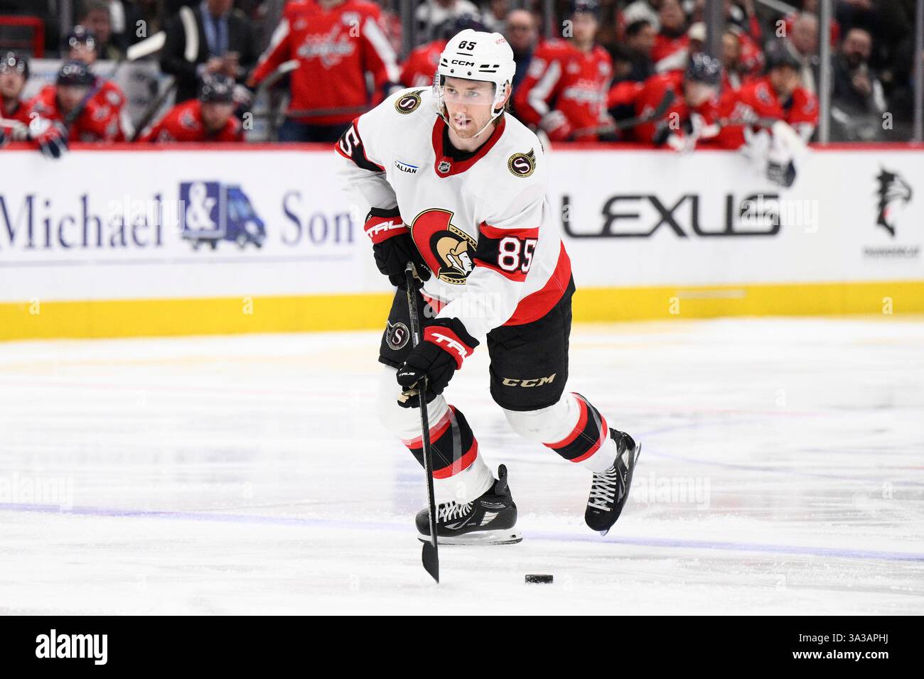 Ottawa Senators defenseman Jake Sanderson (85) in action during the ...