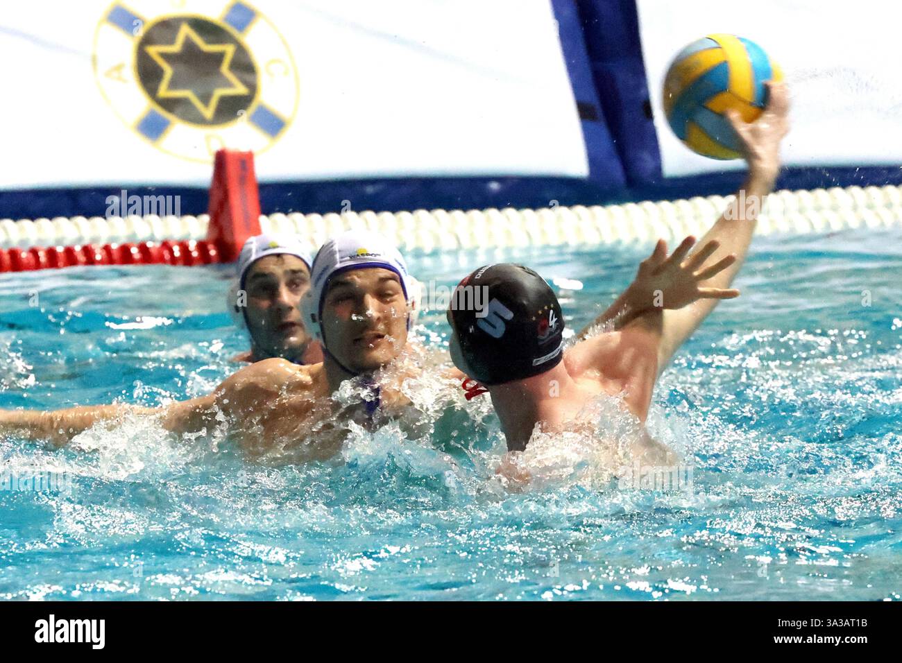 Berlin, Deutschland. 14th Mar, 2025. 14.03.2025, Schwimmhalle ...