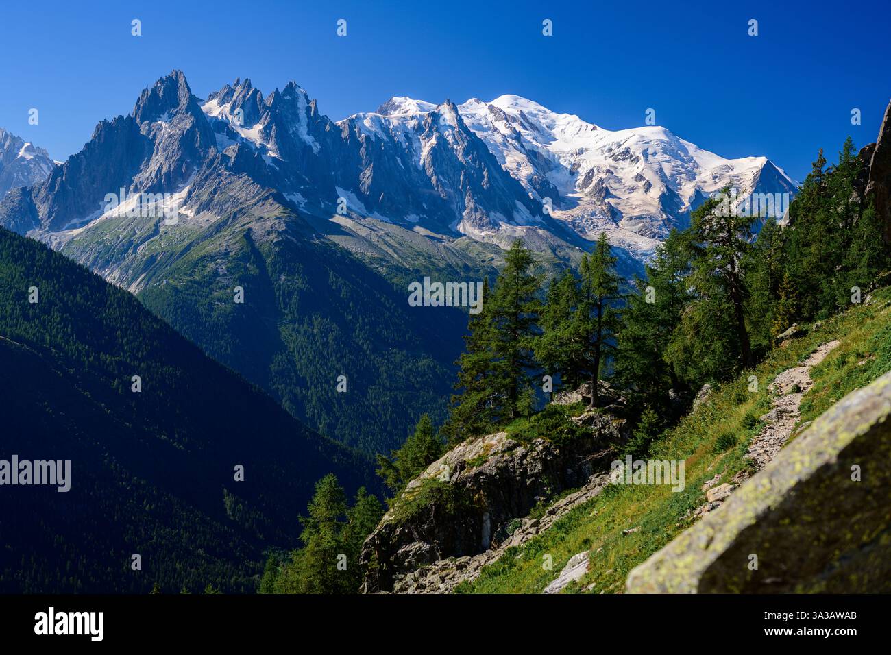 The forest and the Mount Blanc massive on the background Stock Photo ...