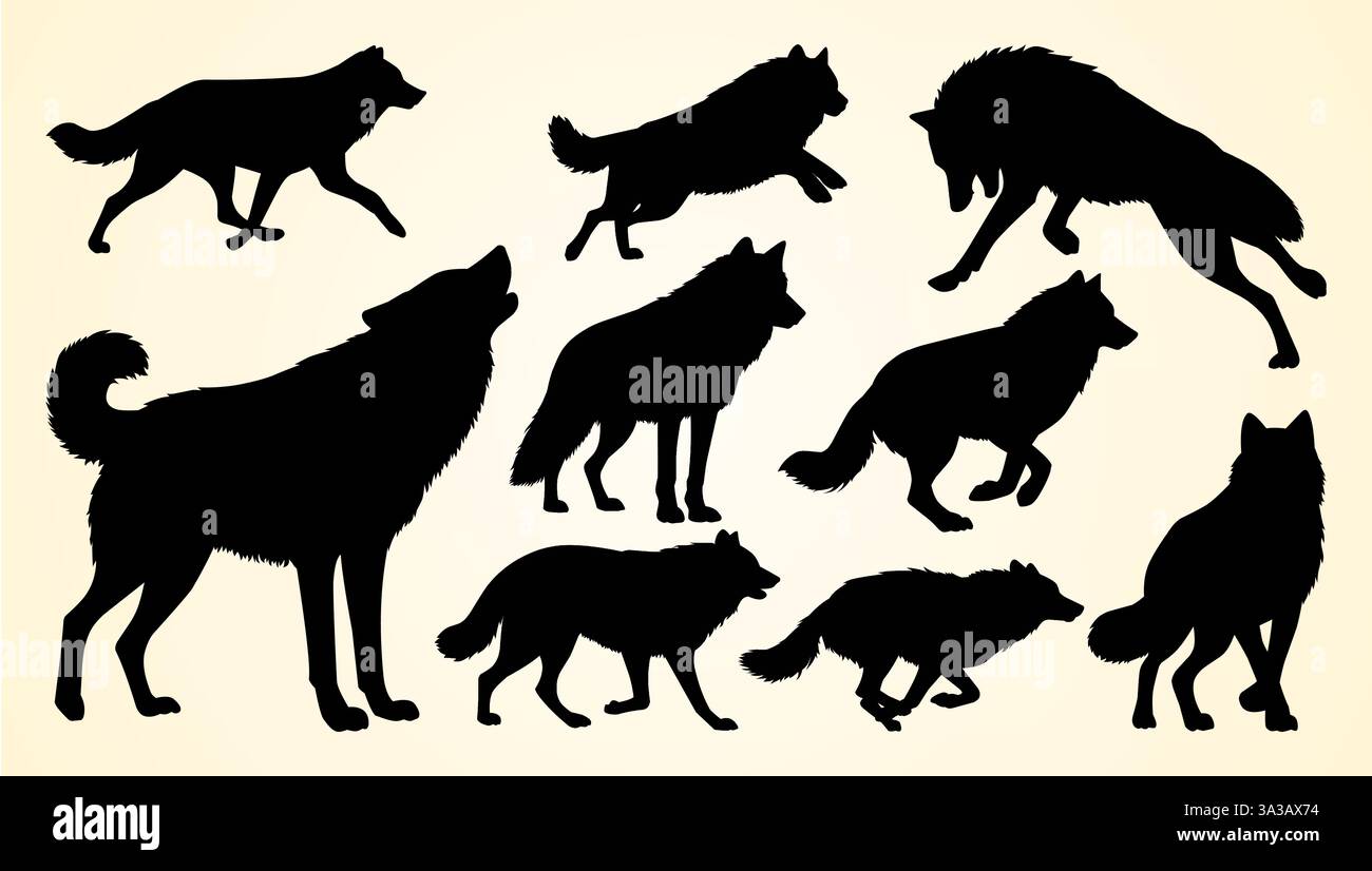 Silhouettes of wolves in various dynamic poses, showcasing their wild ...