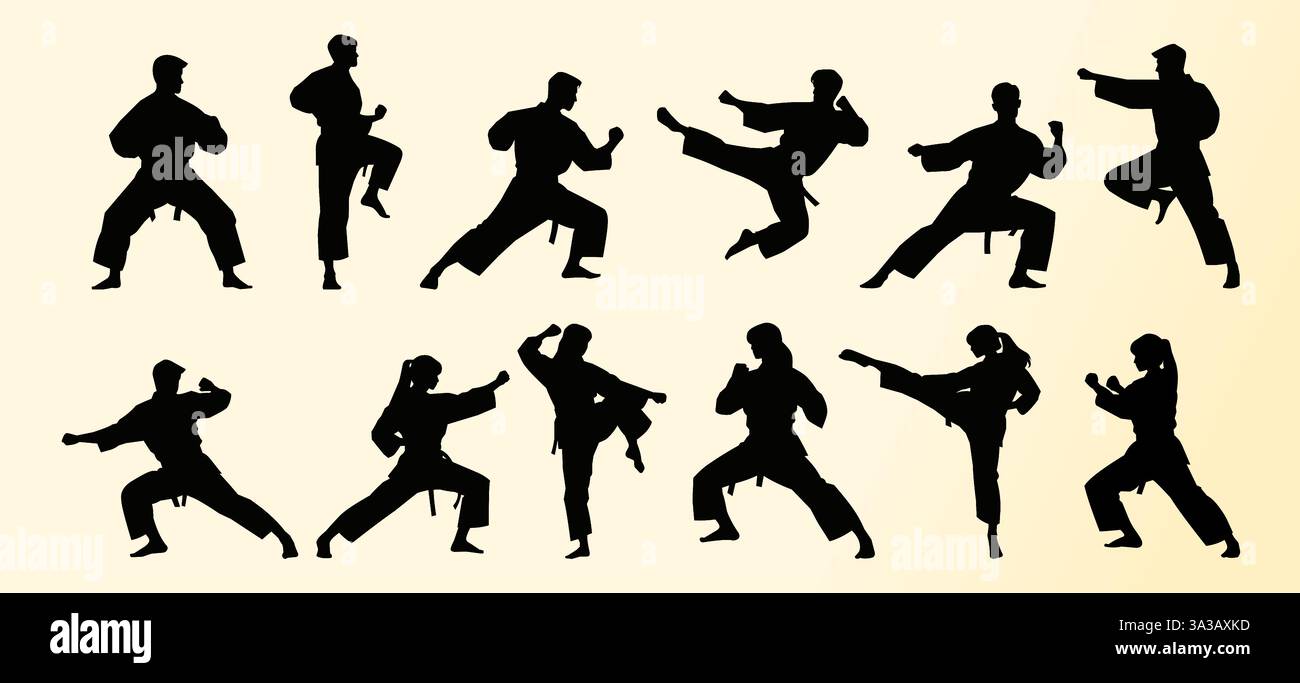 A series of martial arts silhouettes depicting various karate poses ...