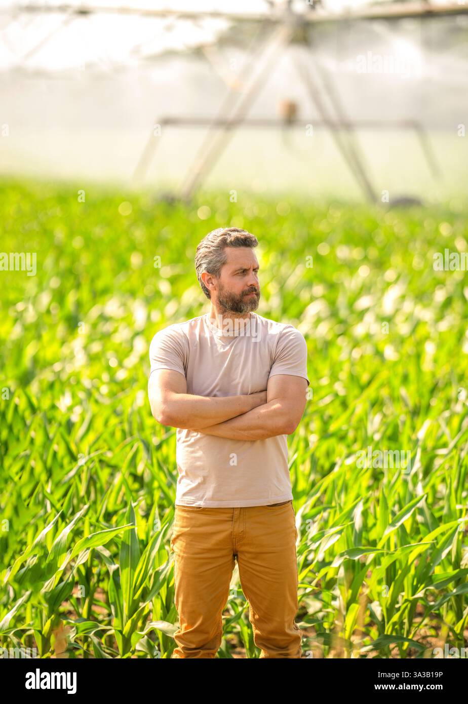 Agriculture and farming. Man at irrigation system watering agricultural ...