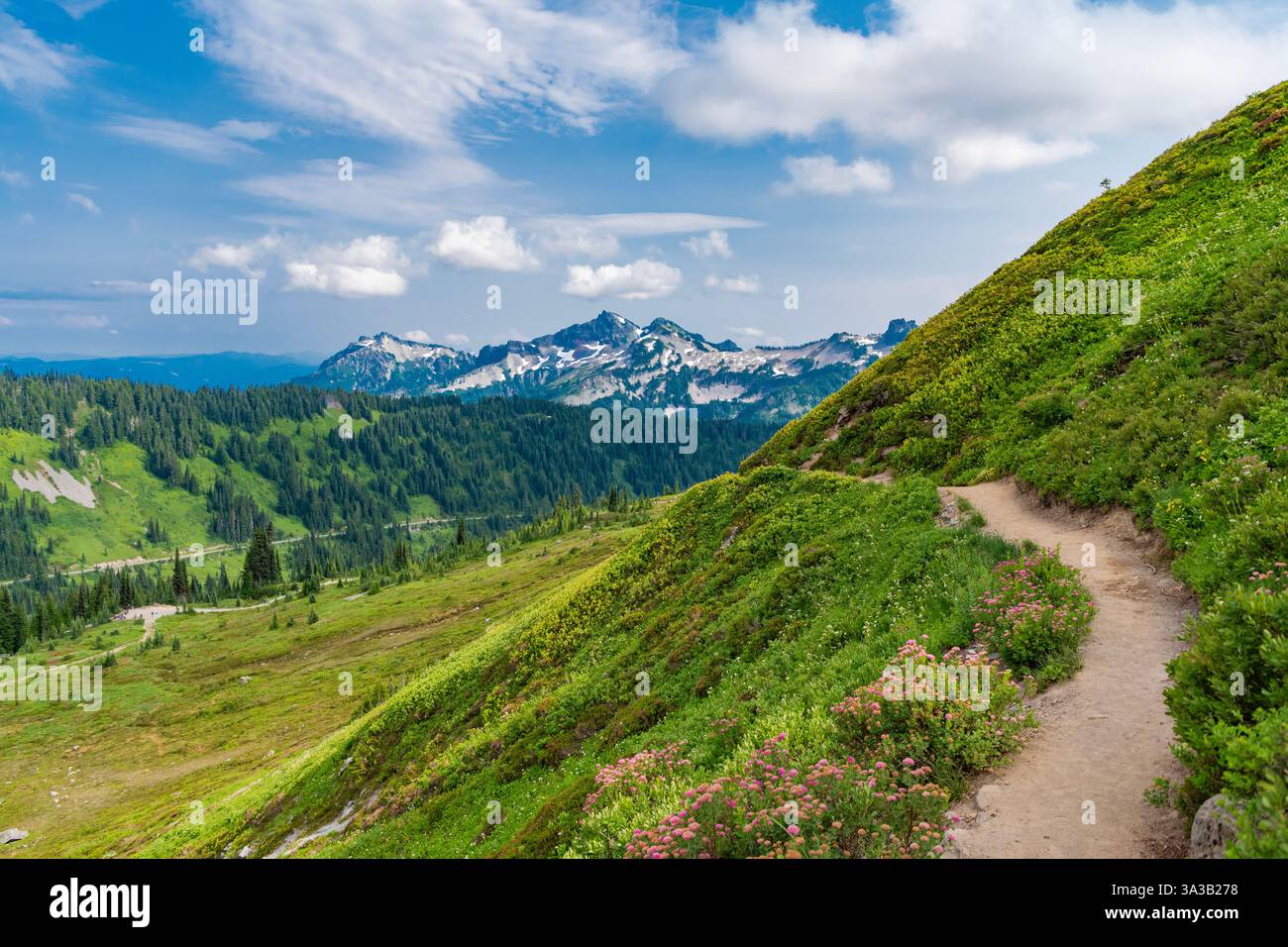 Pathway walking path in picturesque mountain landscape. Hiking trail ...