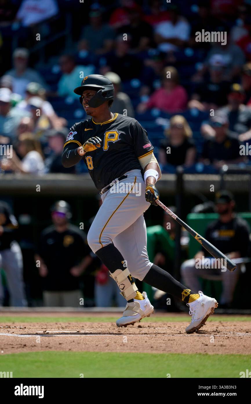 Pittsburgh Pirates Tony Blanco Jr. (28) at bat during an MLB Spring ...