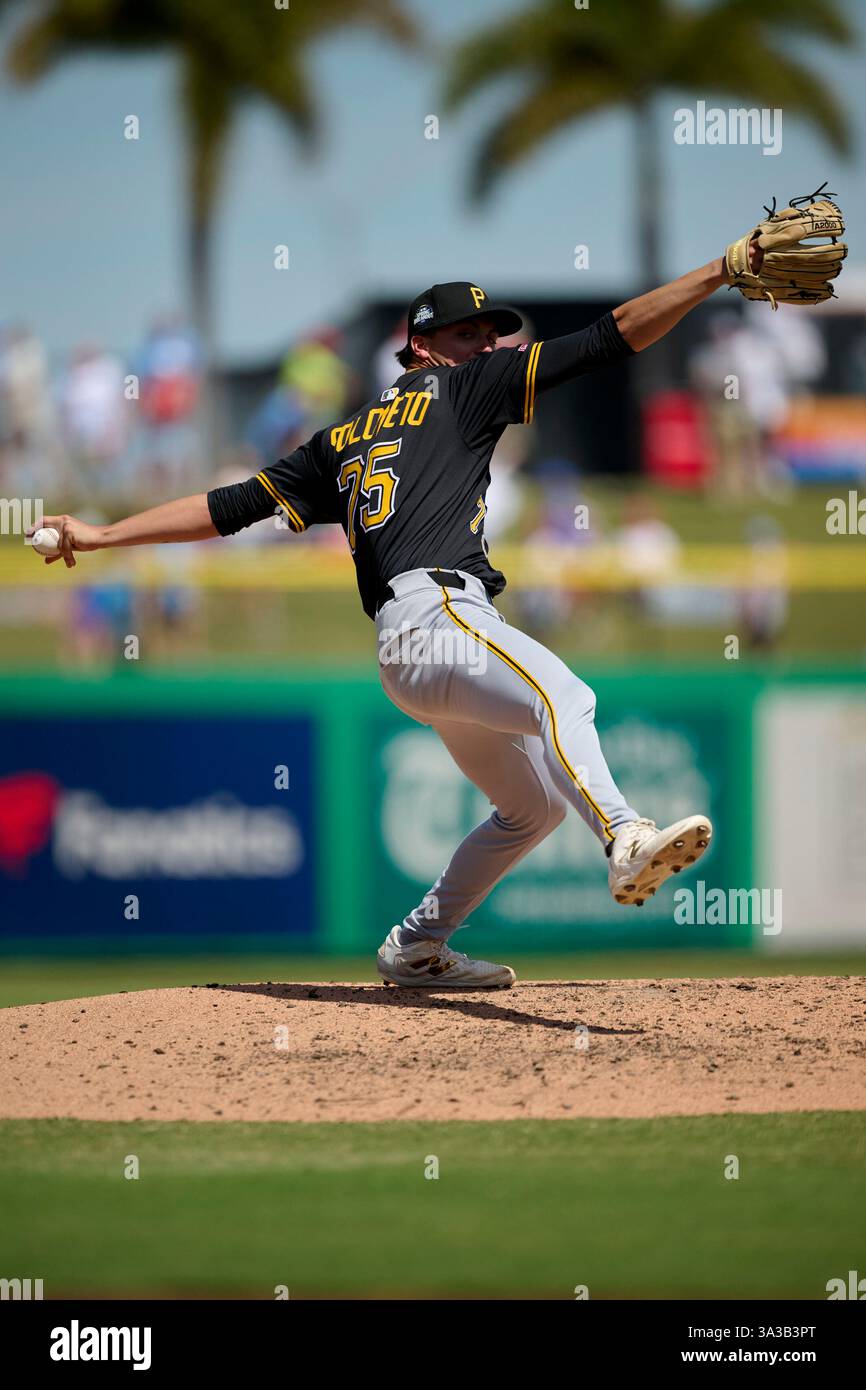 Pittsburgh Pirates pitcher Anthony Solometo (75) delivers a pitch ...