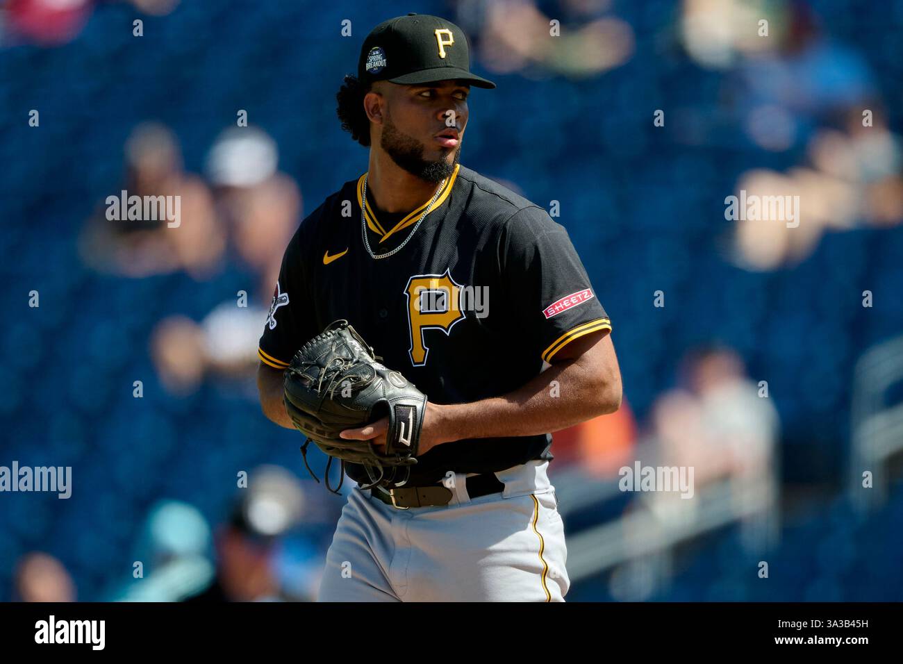 Pittsburgh Pirates pitcher Wilber Dotel (25) during an MLB Spring ...