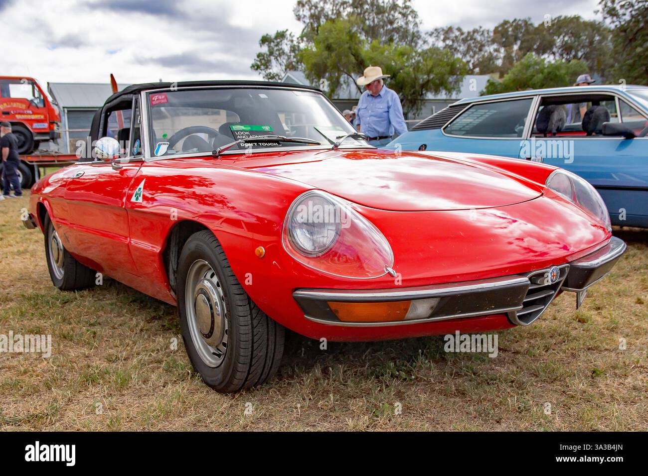 1972 Alfa Romeo Spider
