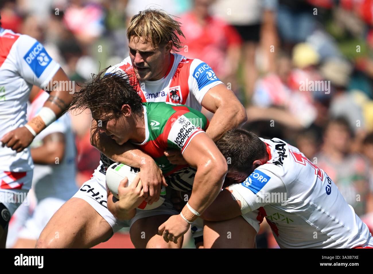 Wollongong, Australia. 15th Mar, 2025. Jamie Humphreys of the Rabbitohs ...