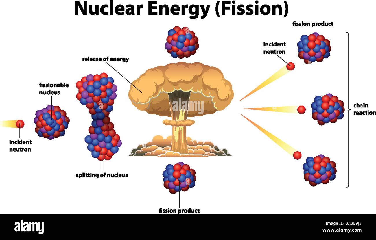 Diagram showing stages of nuclear fission reaction Stock Vector Image ...