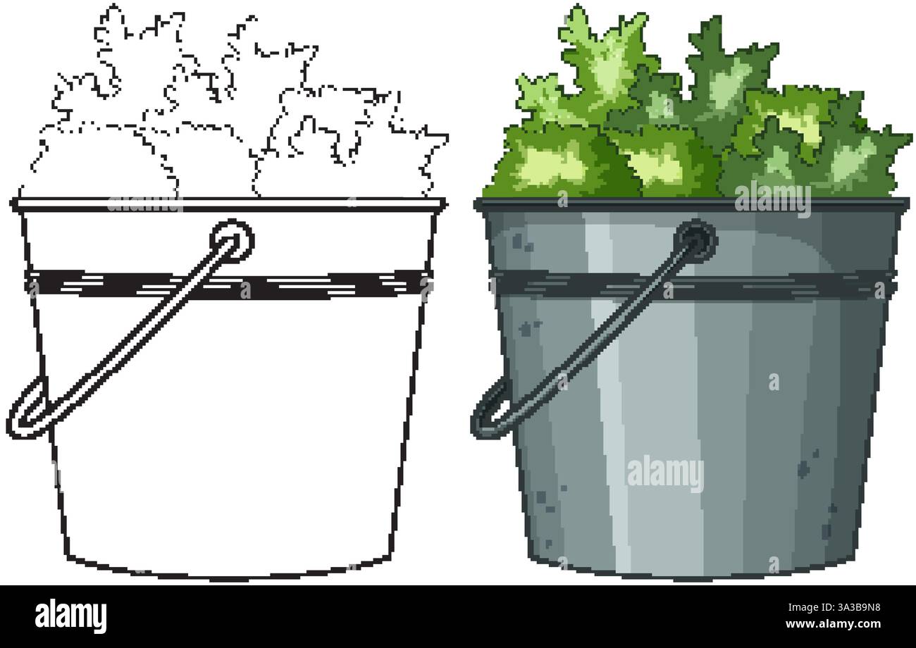Illustration of lettuce in a metal bucket Stock Vector Image & Art - Alamy