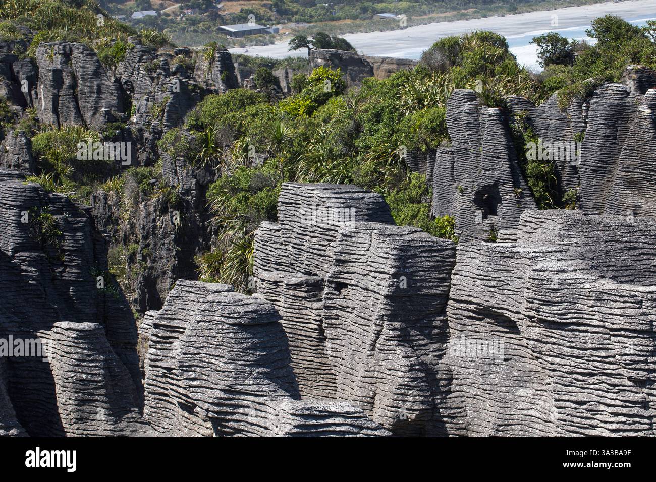 Stunning pancake rocks and lush greenery in new zealand's punakaiki ...