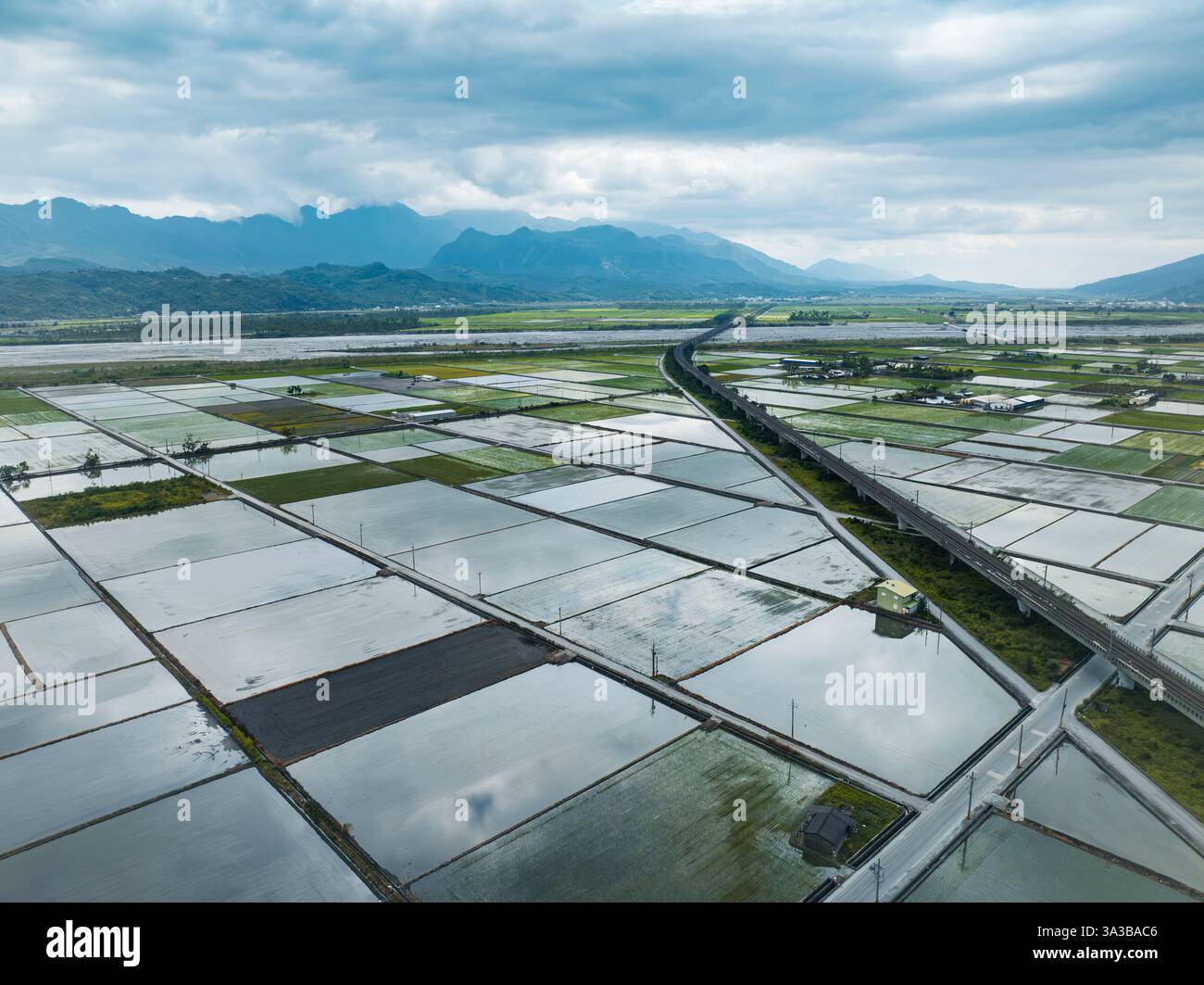 Flooded Rice Paddies. Agronomic Methods Of Growing Rice In Taiwan Stock ...