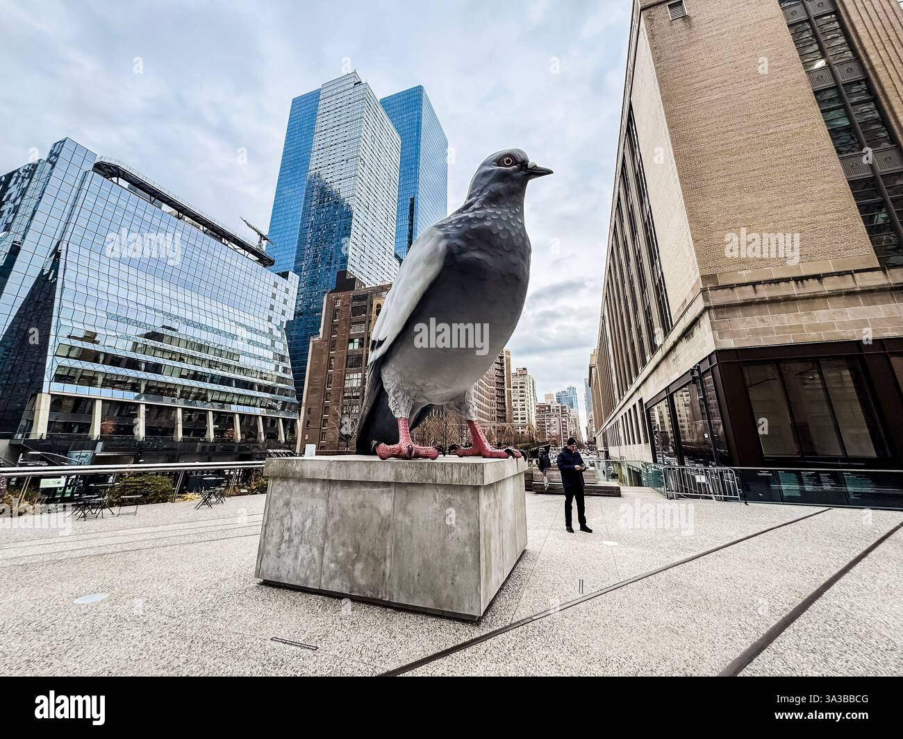 Dinosaur, the Giant Pigeon overlooks the High Line’s Plinth area on the ...