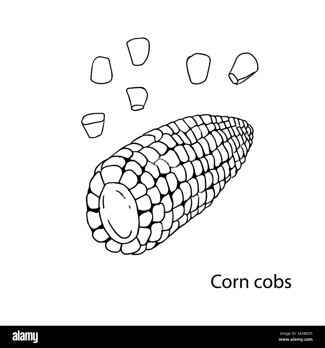 Black and white vector illustration of half an ear of corn and grains ...