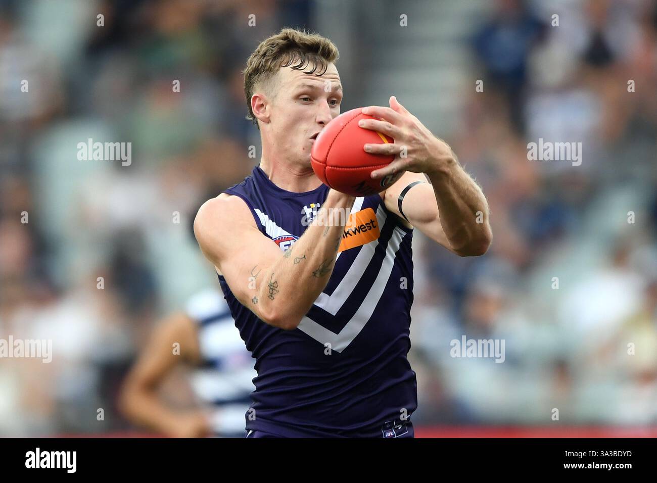 Geelong, Australia. 15th Mar, 2025. Josh Treacy of the Dockers is seen ...