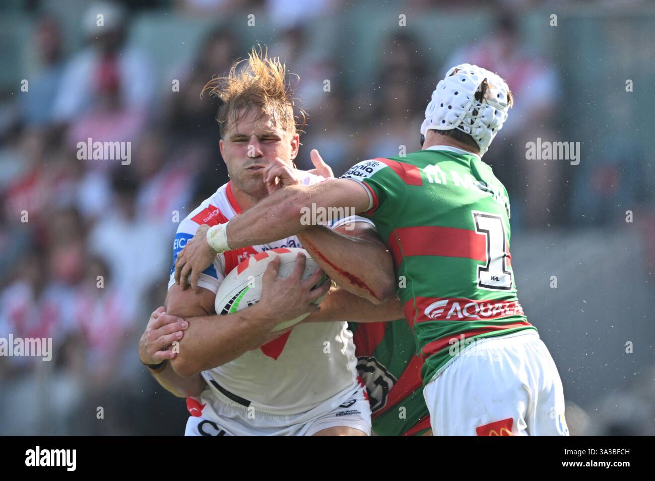 Jack De Belin of the Dragons is tackled by Jye Gray of the Rabbitohs ...