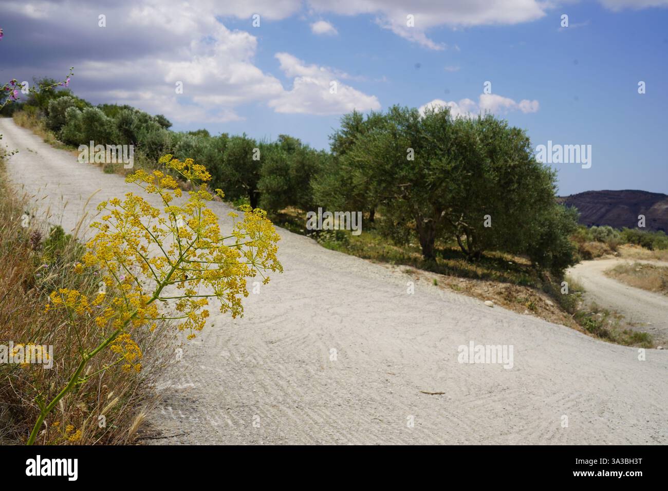 A dirt road that splits into two destinations and different levels with ...