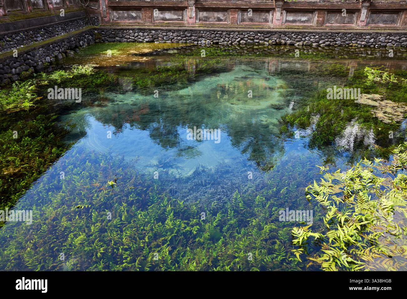 Pool with holy springs at Tirta Empul Temple (Pura Tirta Empul ...