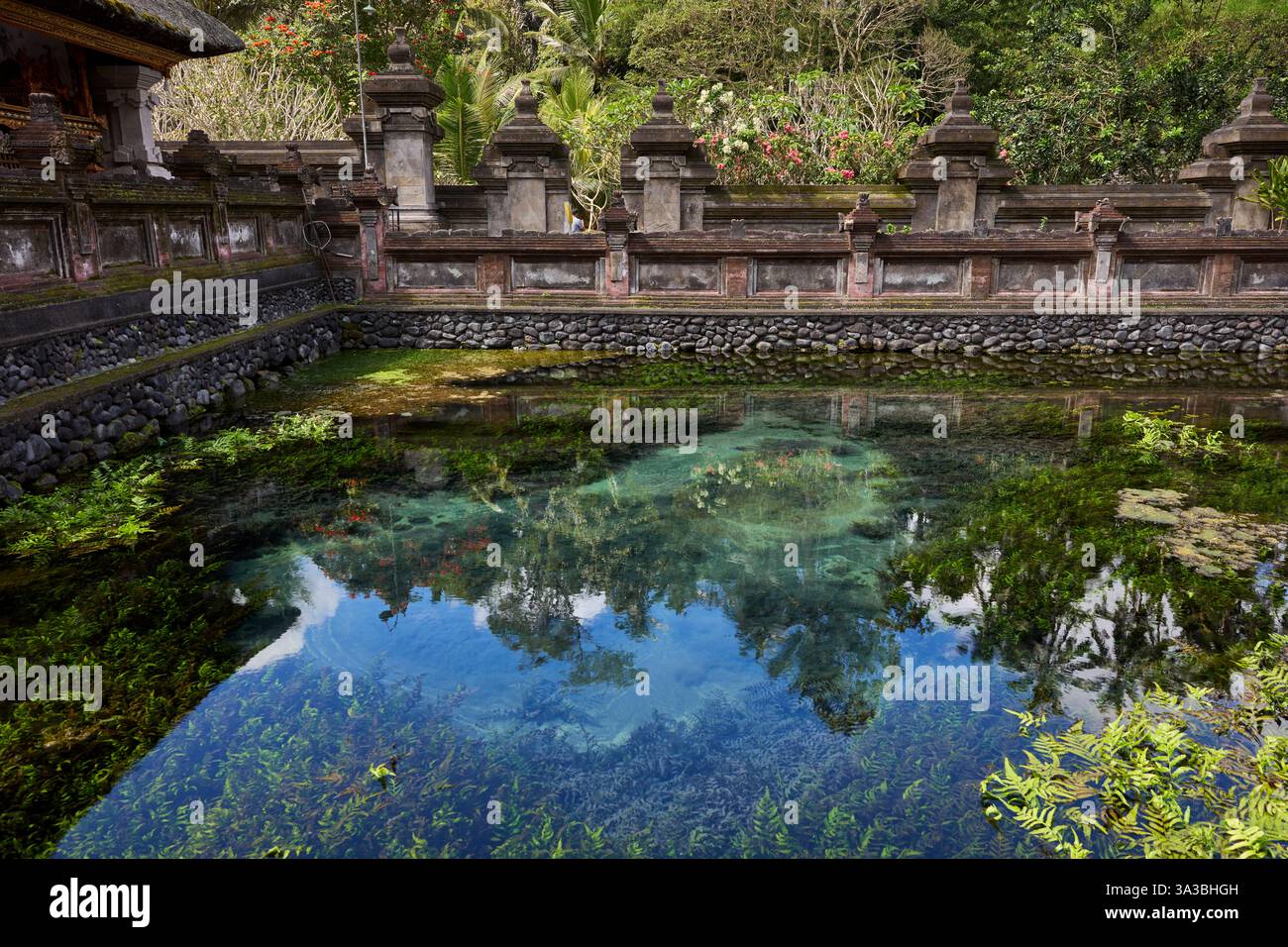 Pool with holy springs at Tirta Empul Temple (Pura Tirta Empul ...
