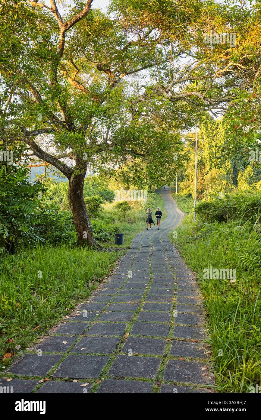 People walk along the Campuhan Ridge Walk trail in the early morning ...